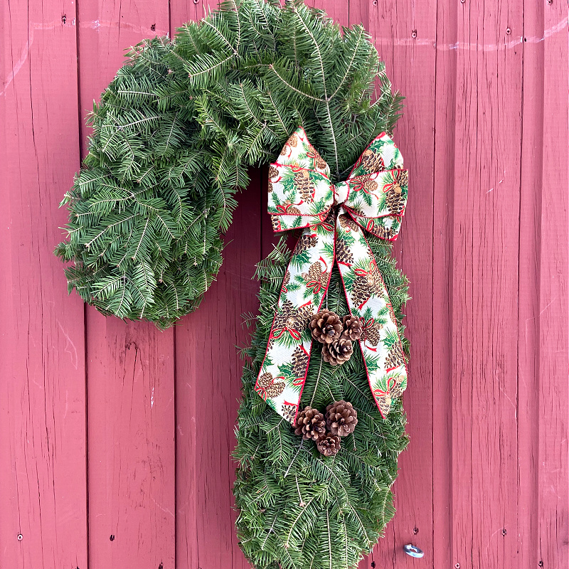 Candy Cane - Pine Cone **NEW FOR 2022**