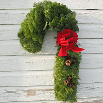 Candy Cane - Traditional - 2 Picks